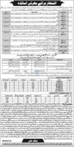 KPK South Waziristan Government Teaching Jobs 2025 - TT AT PET CT DM ...
