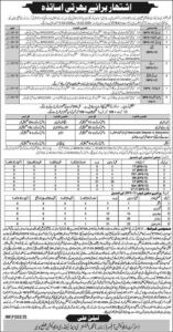 TT AT PET CT DM Qari PST Teaching Jobs 2025 - KPK Buner District ...