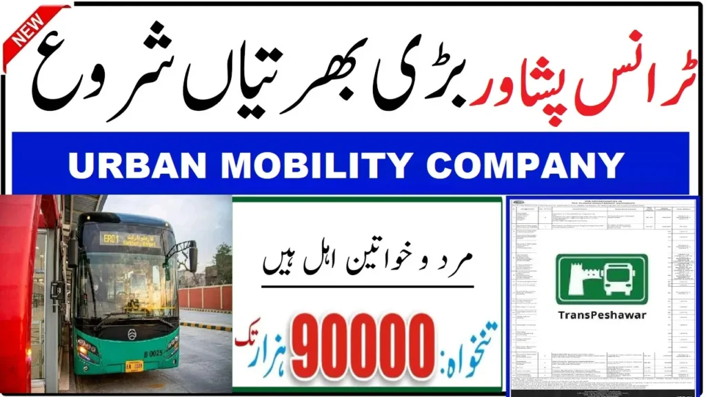 Trans Peshawar Latest Jobs 2026 - Apply Online For Assistant Manager ...