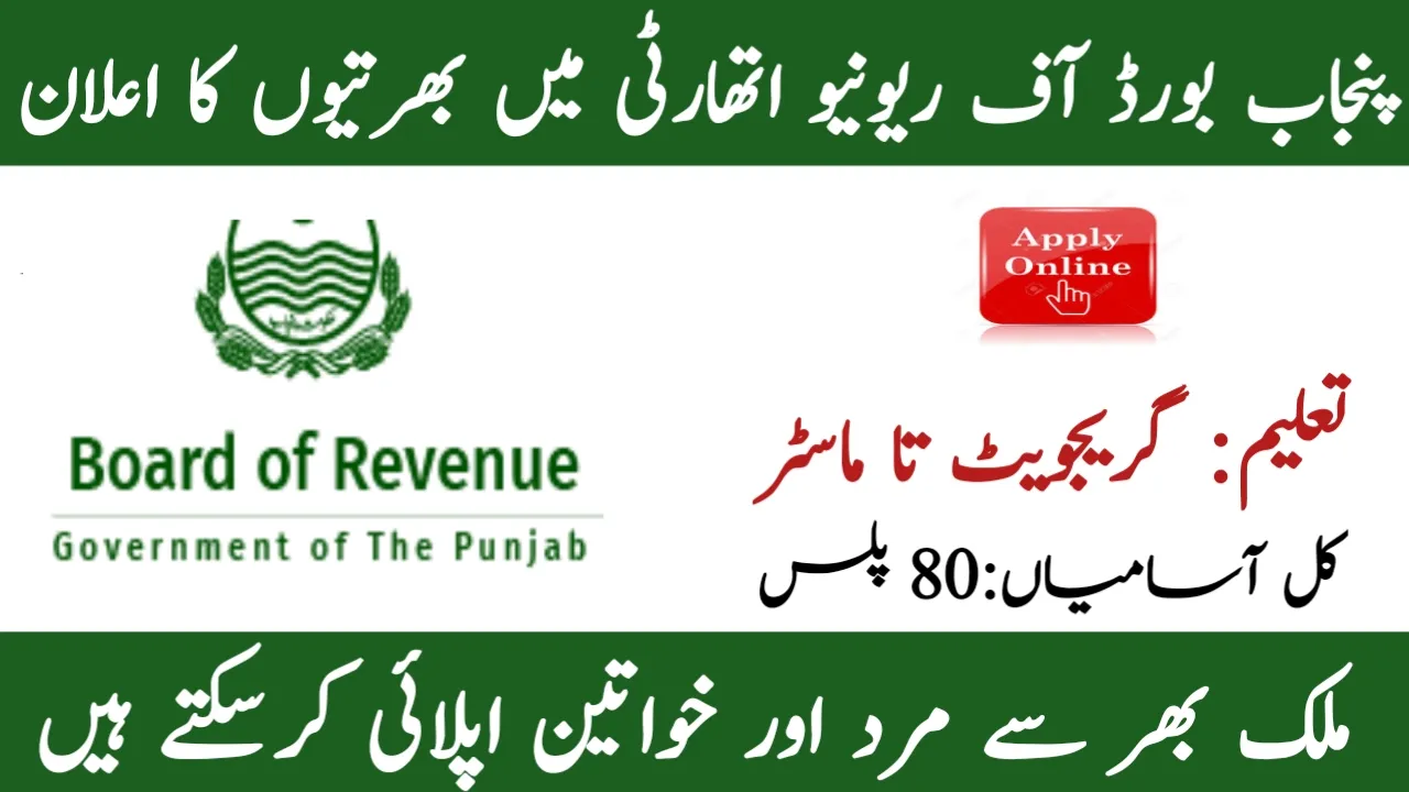 Board Of Revenue Punjab New Jobs 2026 - Apply Online For Account ...