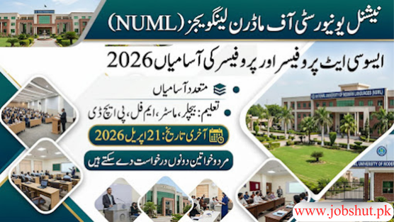 NUML New Jobs 2026 - Apply Online For Professor And Associate Professor ...